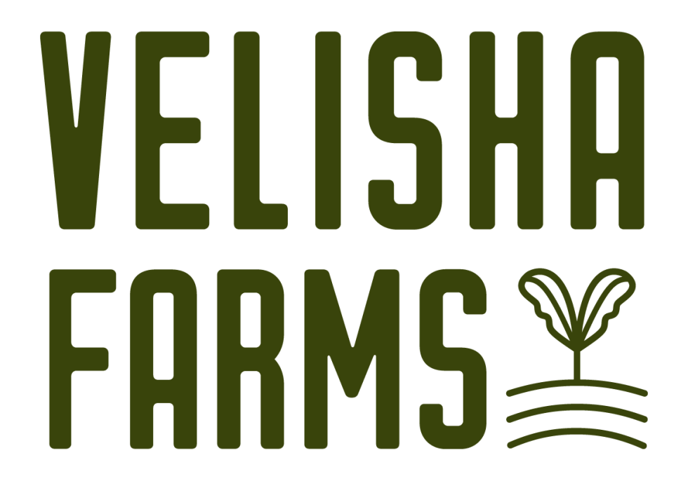 All Recipes – My Market Kitchen